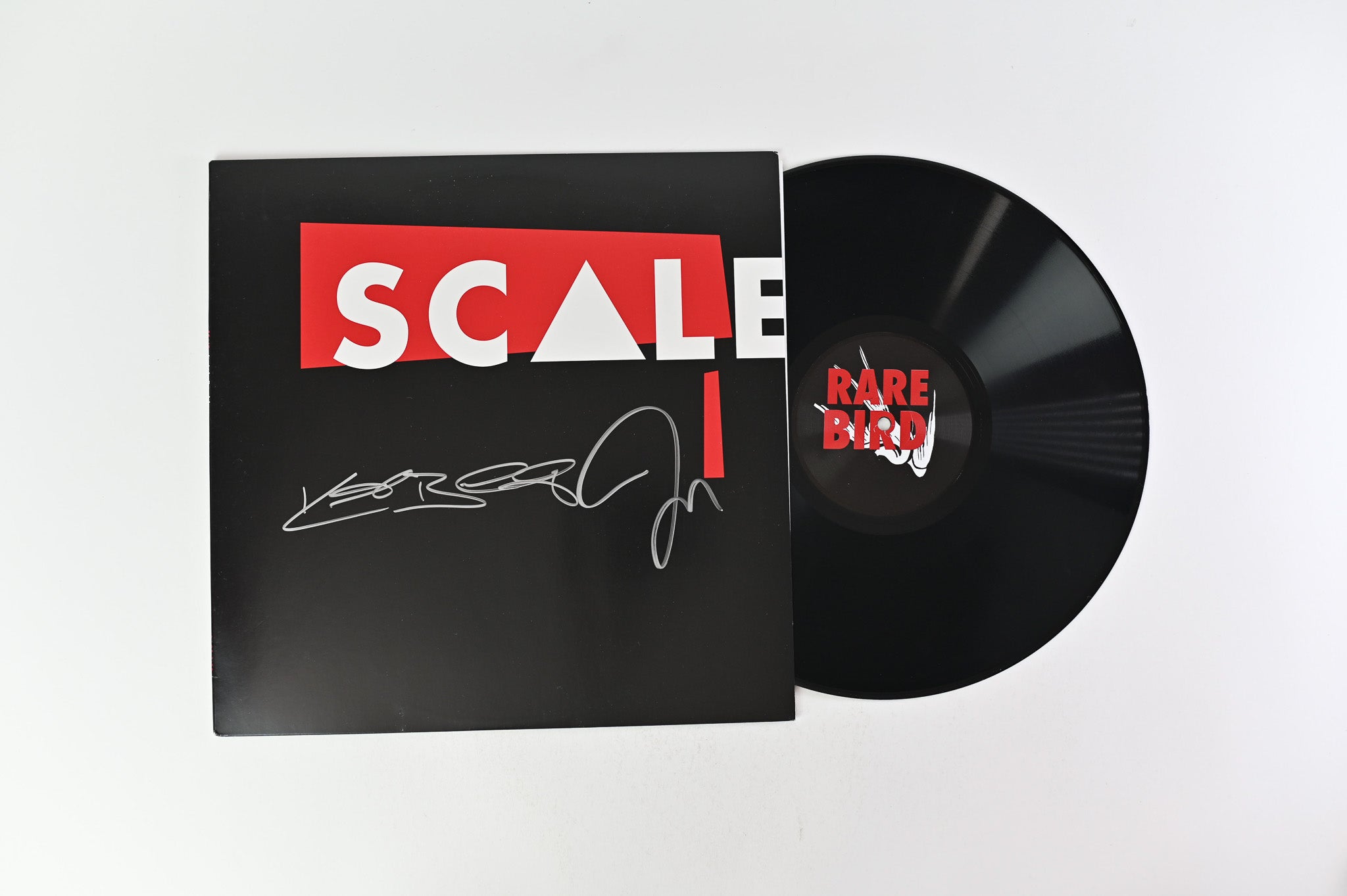 Keith Buckley - Scale on Rare Bird Books