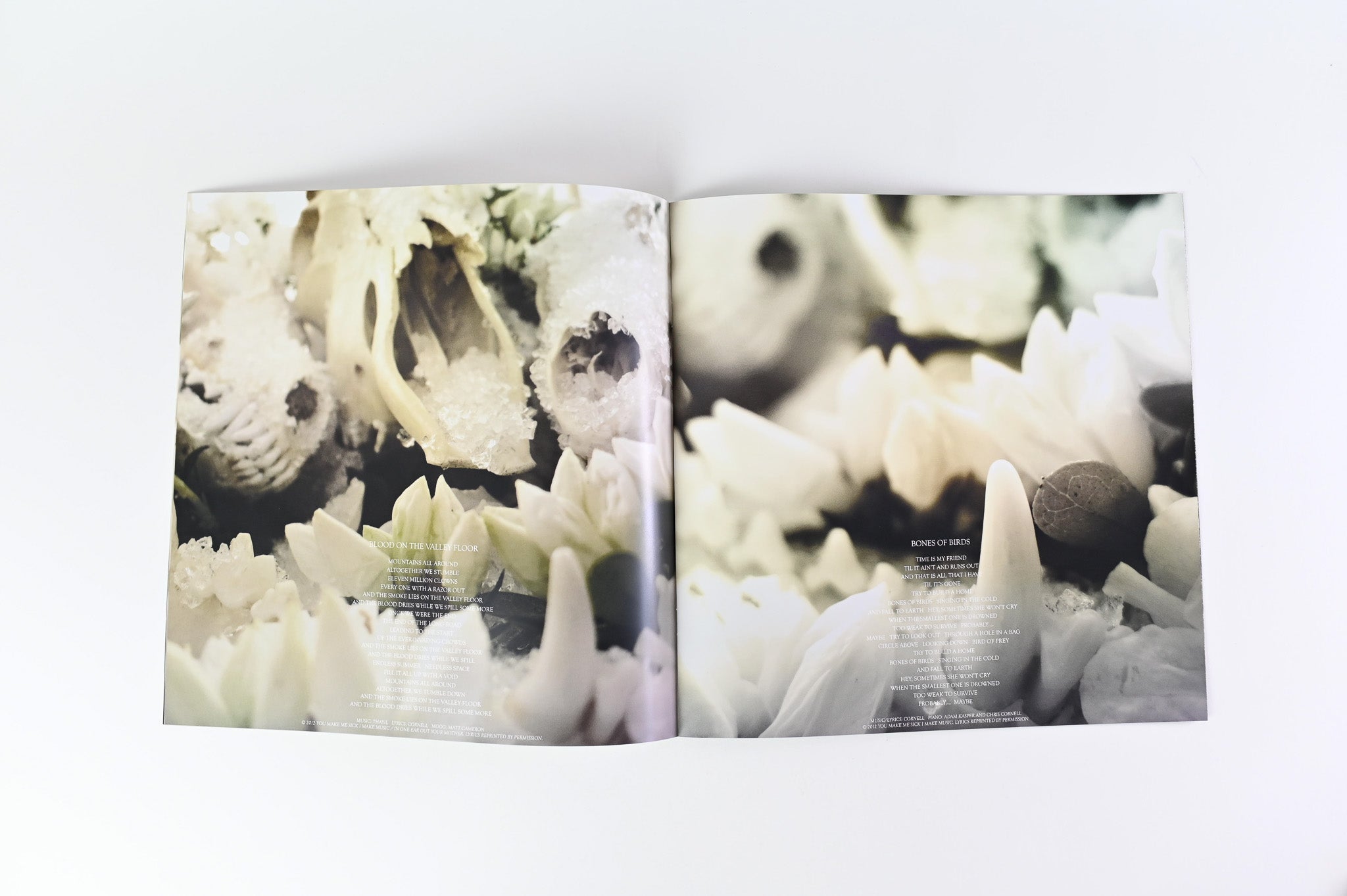 Soundgarden - King Animal on Universal Republic Records