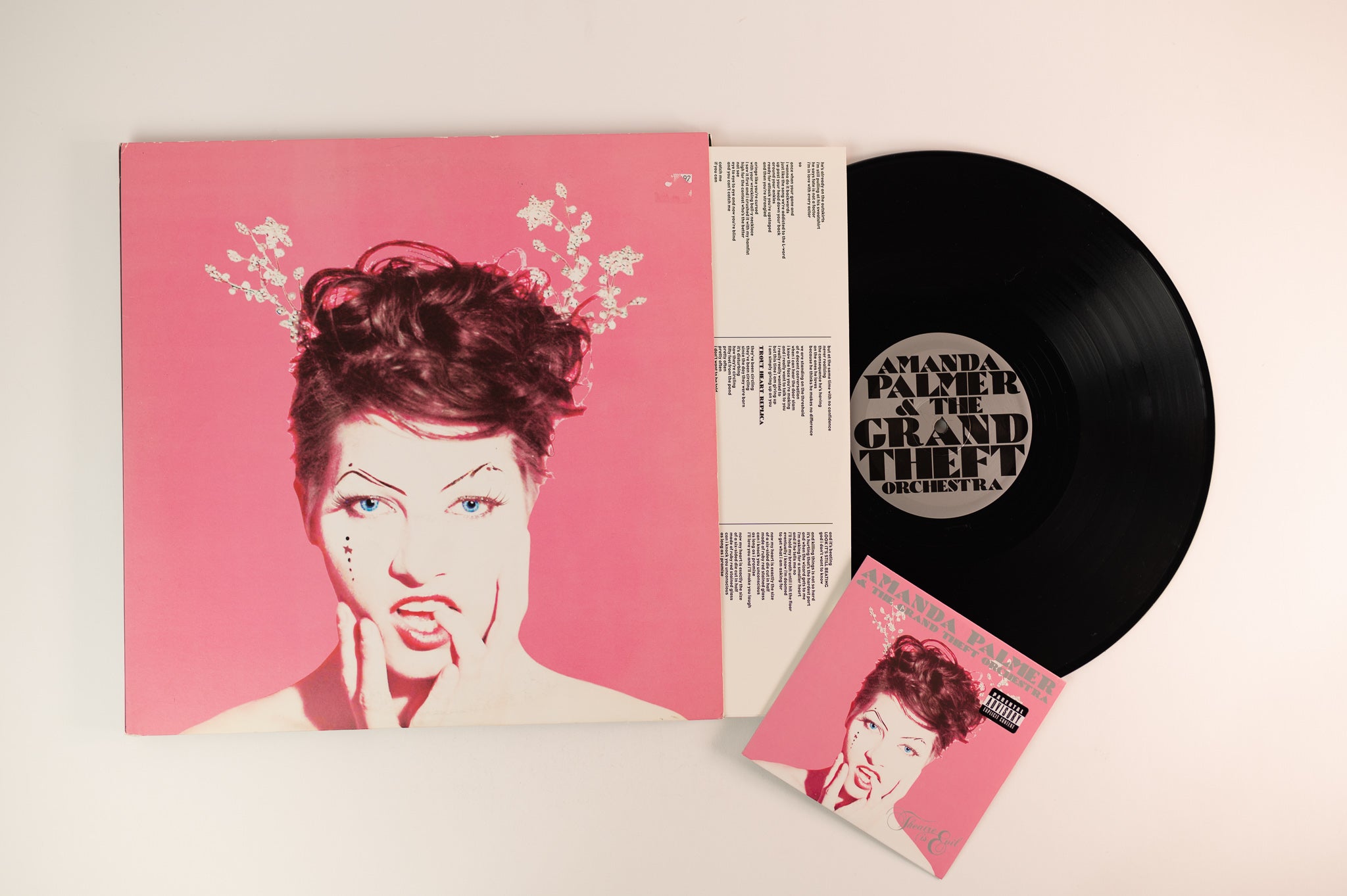 Amanda Palmer & The Grand Theft Orchestra - Theatre Is Evil on 8ft. Re